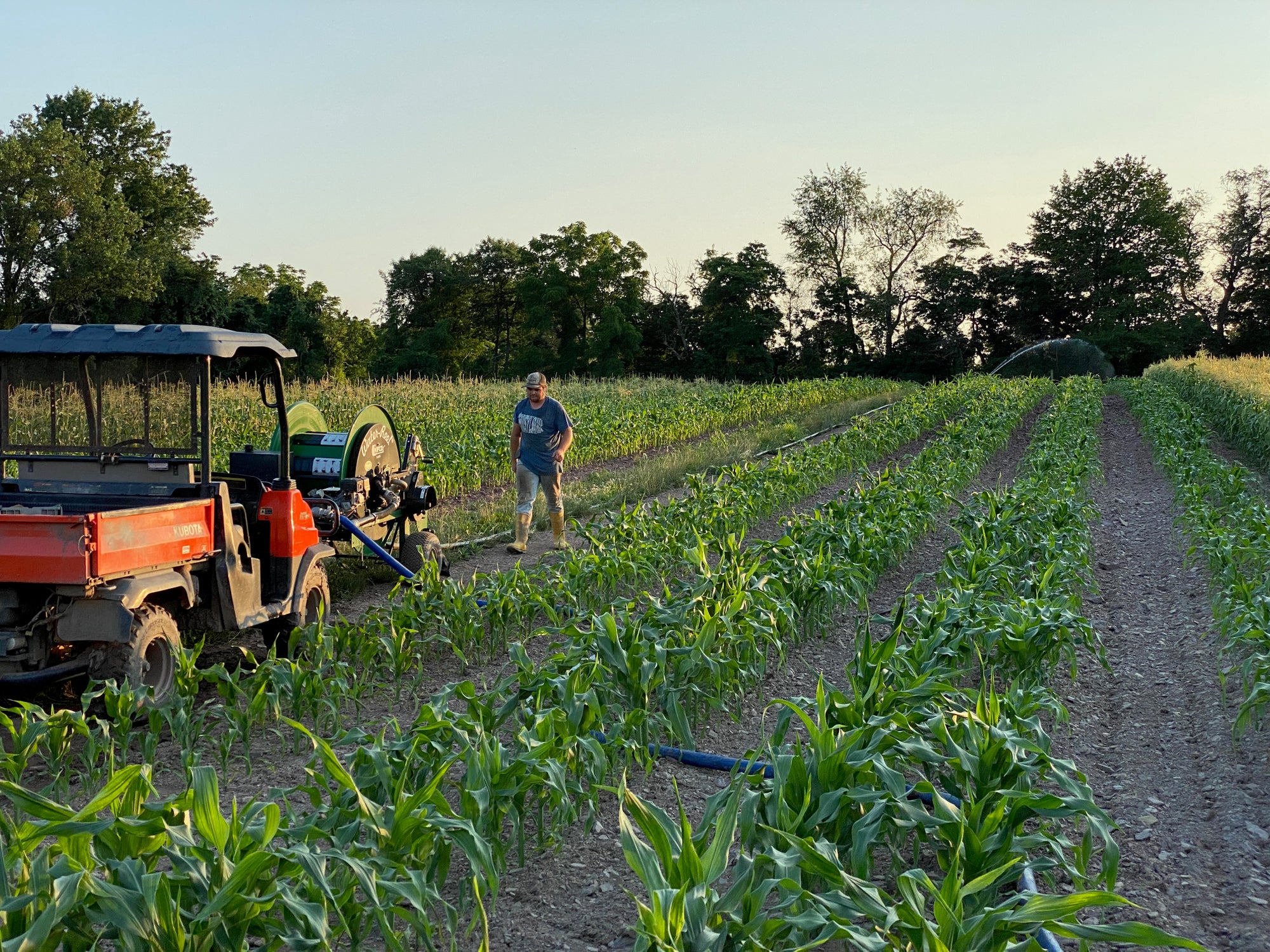 Menu Order Online Gift Cards Join Our Team Contact Us Community